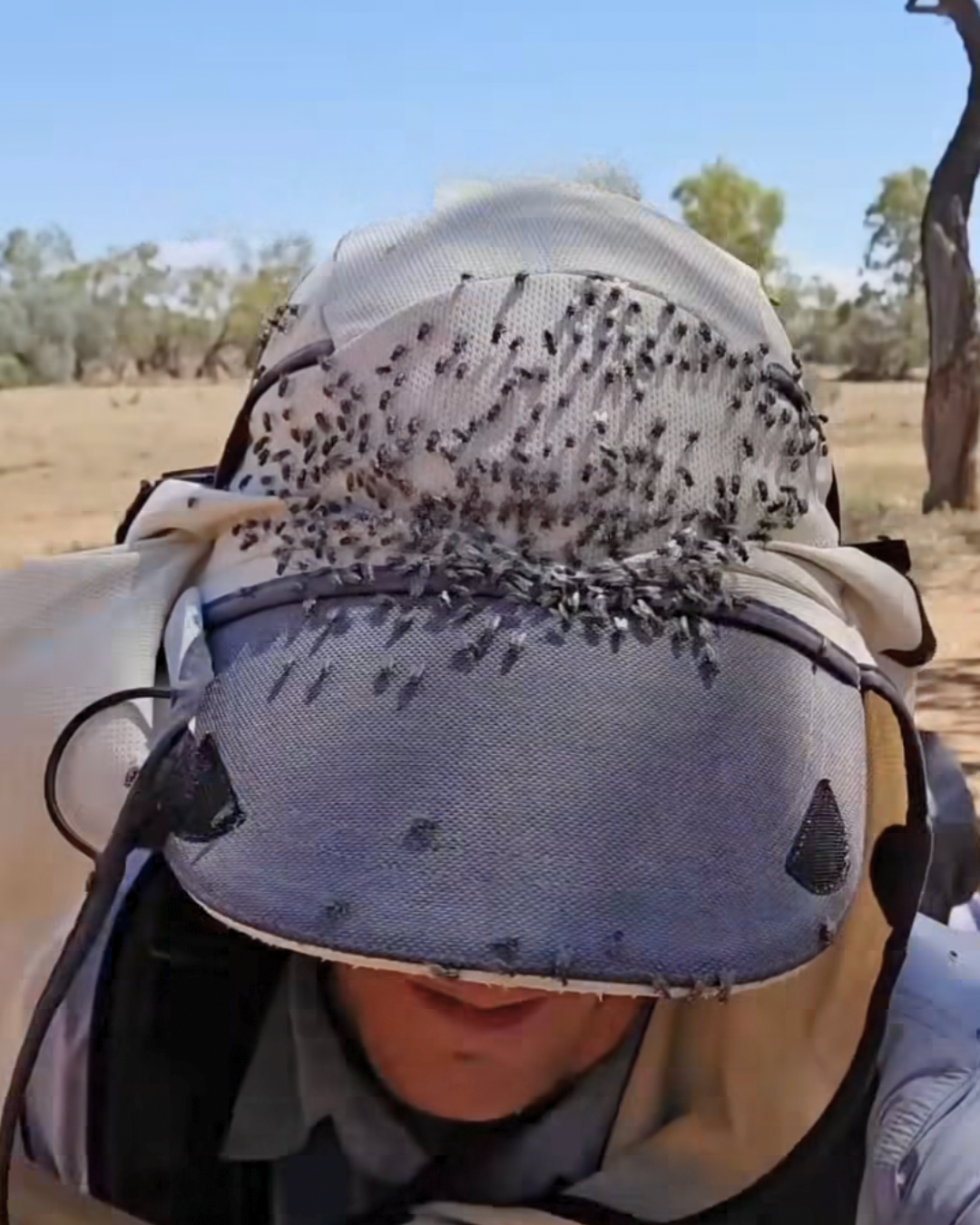 An update on Mark Gresser’s solo trek across Australia for batyr ...